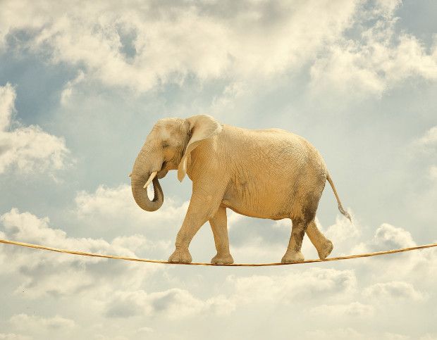 A steady balance | Intelligent Insurer